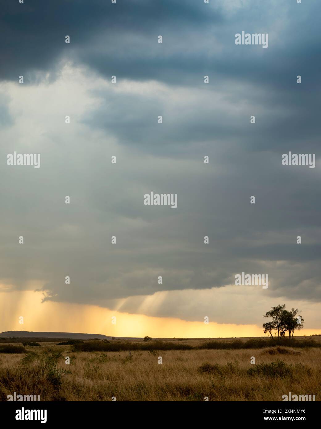 Storm over the Maasai Mara, Kenya, Africa Stock Photo - Alamy