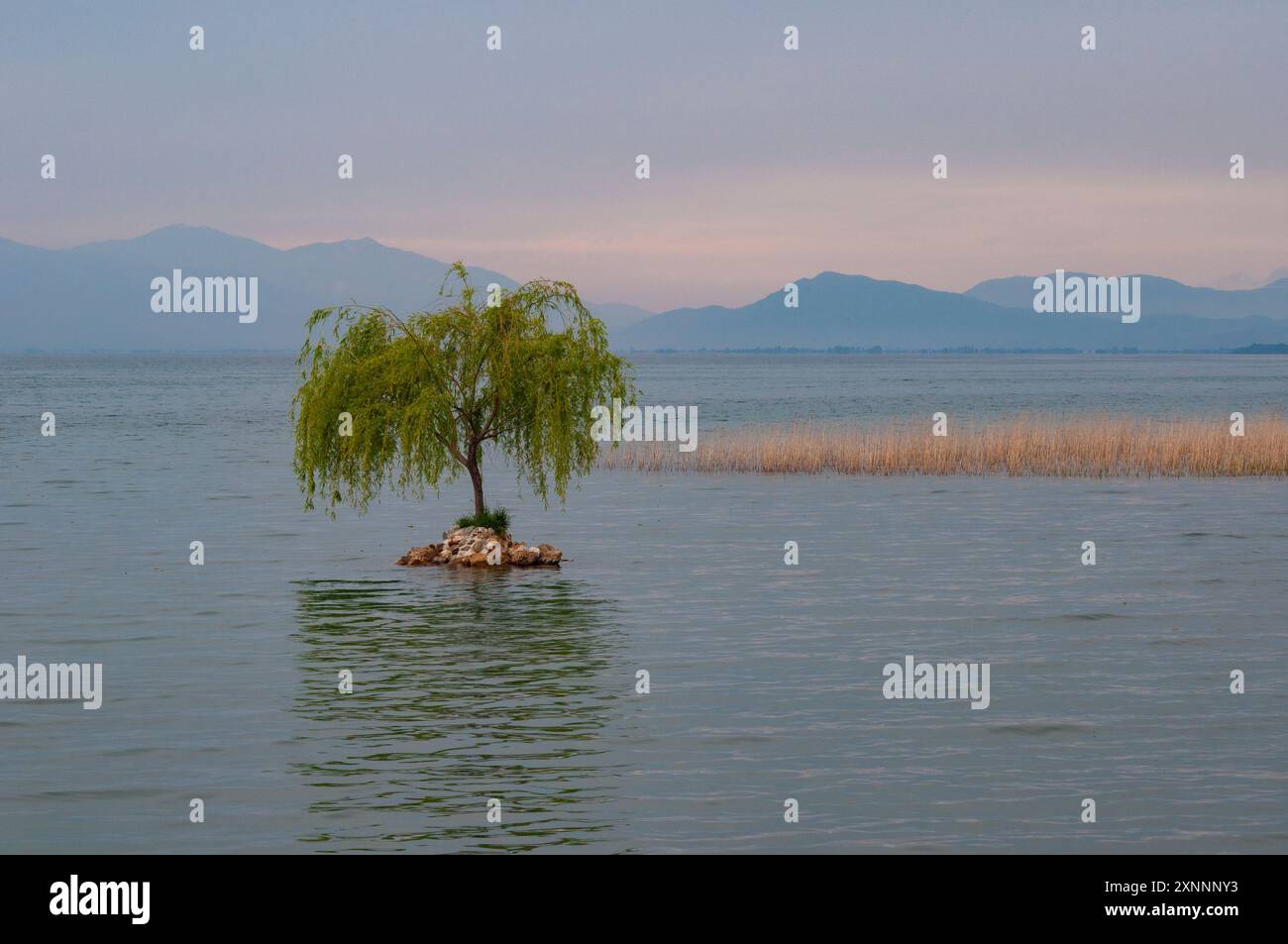 Trpejca village a famous tourist spot on Lake Ohrid and Galicica ...