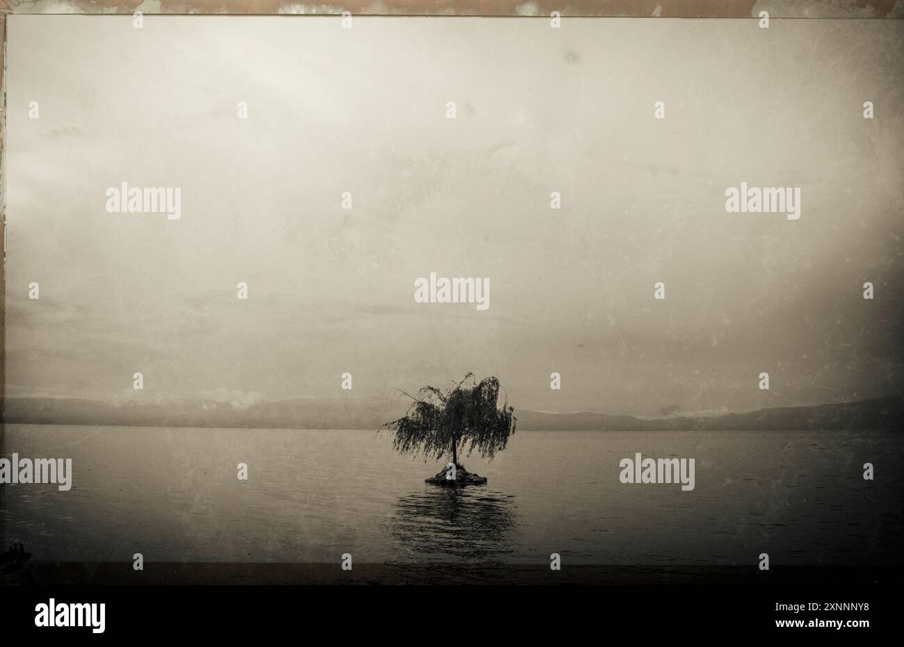 Trpejca village a famous tourist spot on Lake Ohrid and Galicica ...