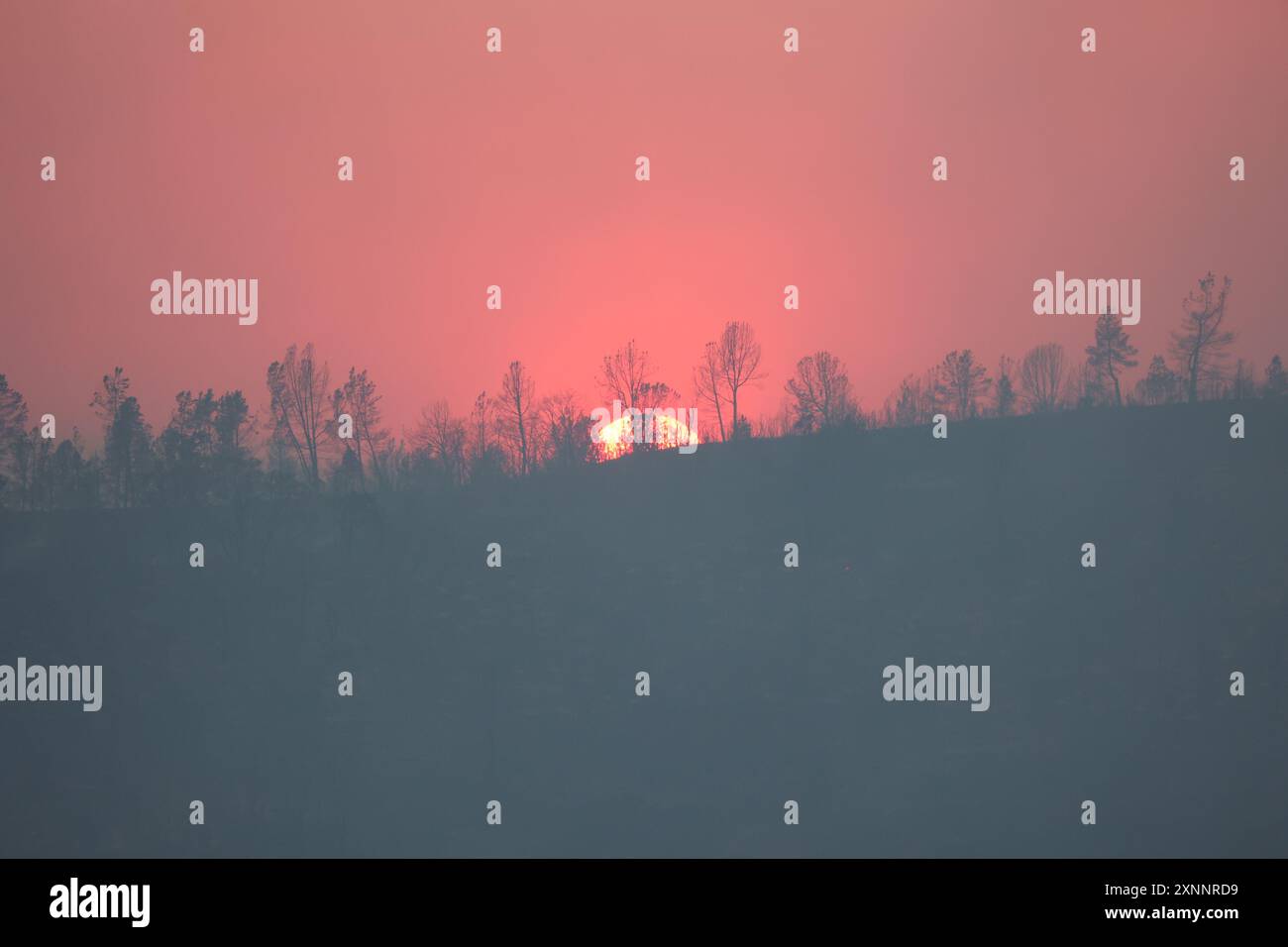 Chico, California, USA. August 1, 2024. Landscape showing scope of ...