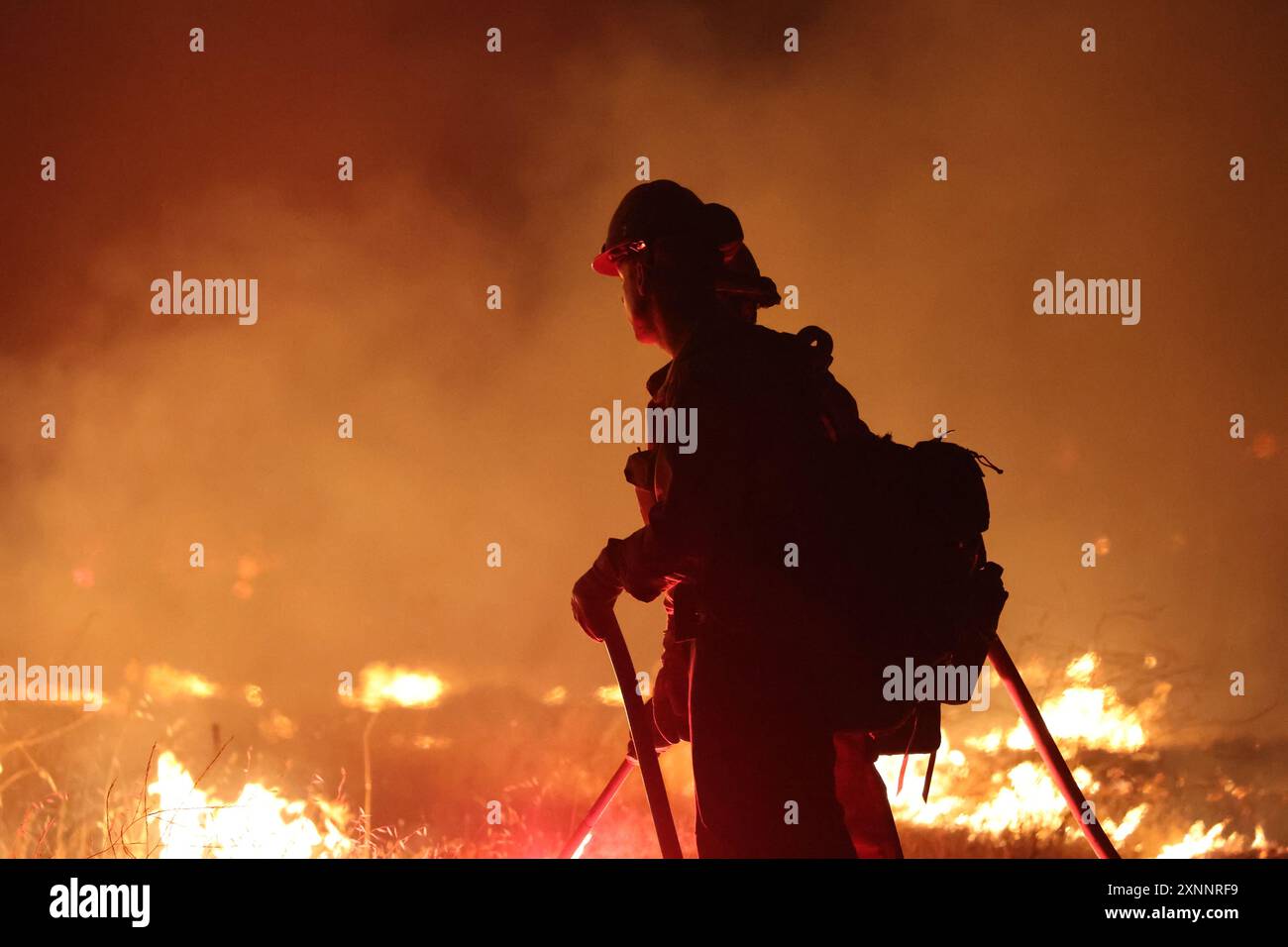 Chico, California, USA. August 1, 2024. Firefighters working on line of ...