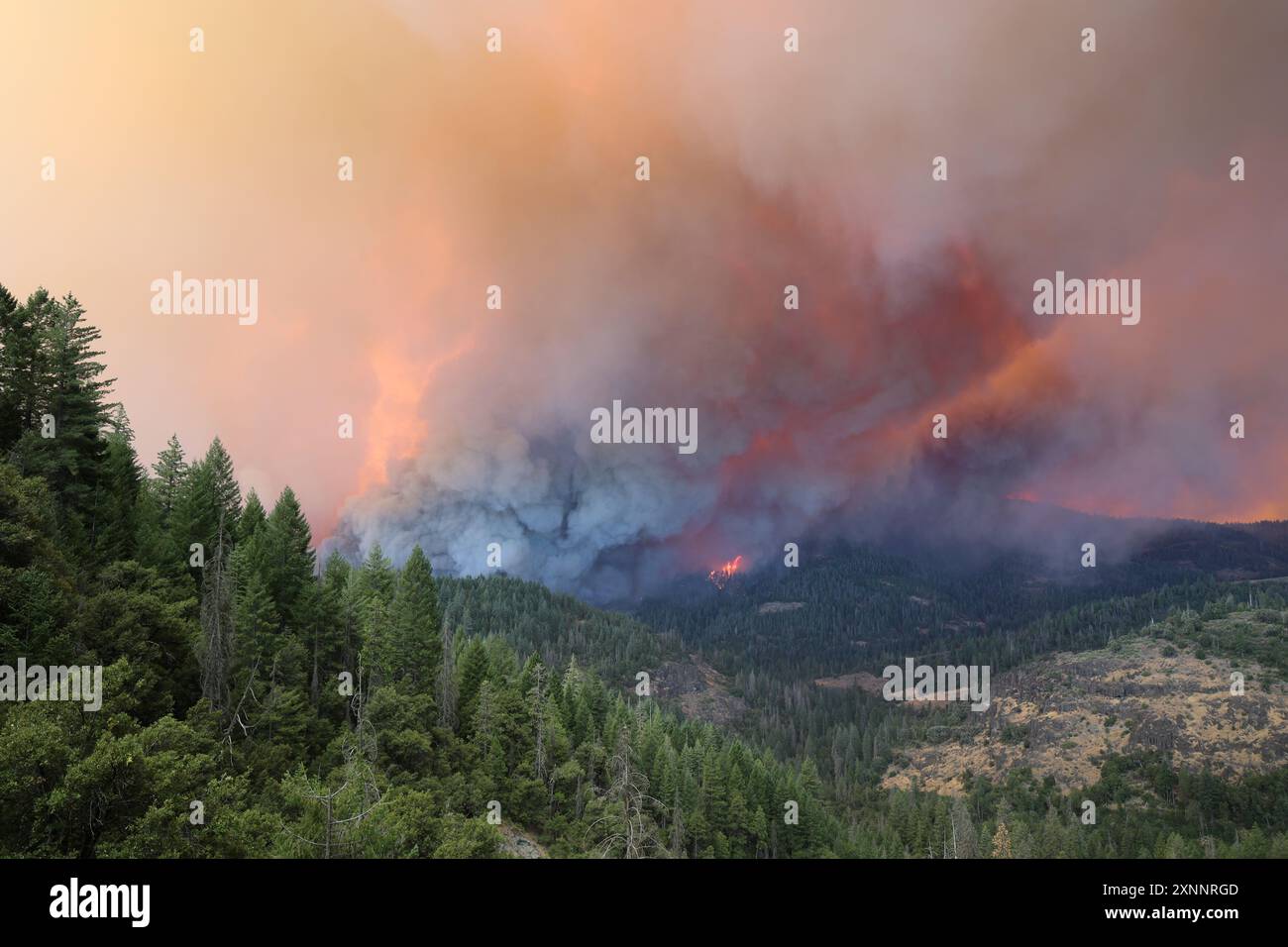 Chico, California, USA. August 1, 2024. Landscape showing scope of ...