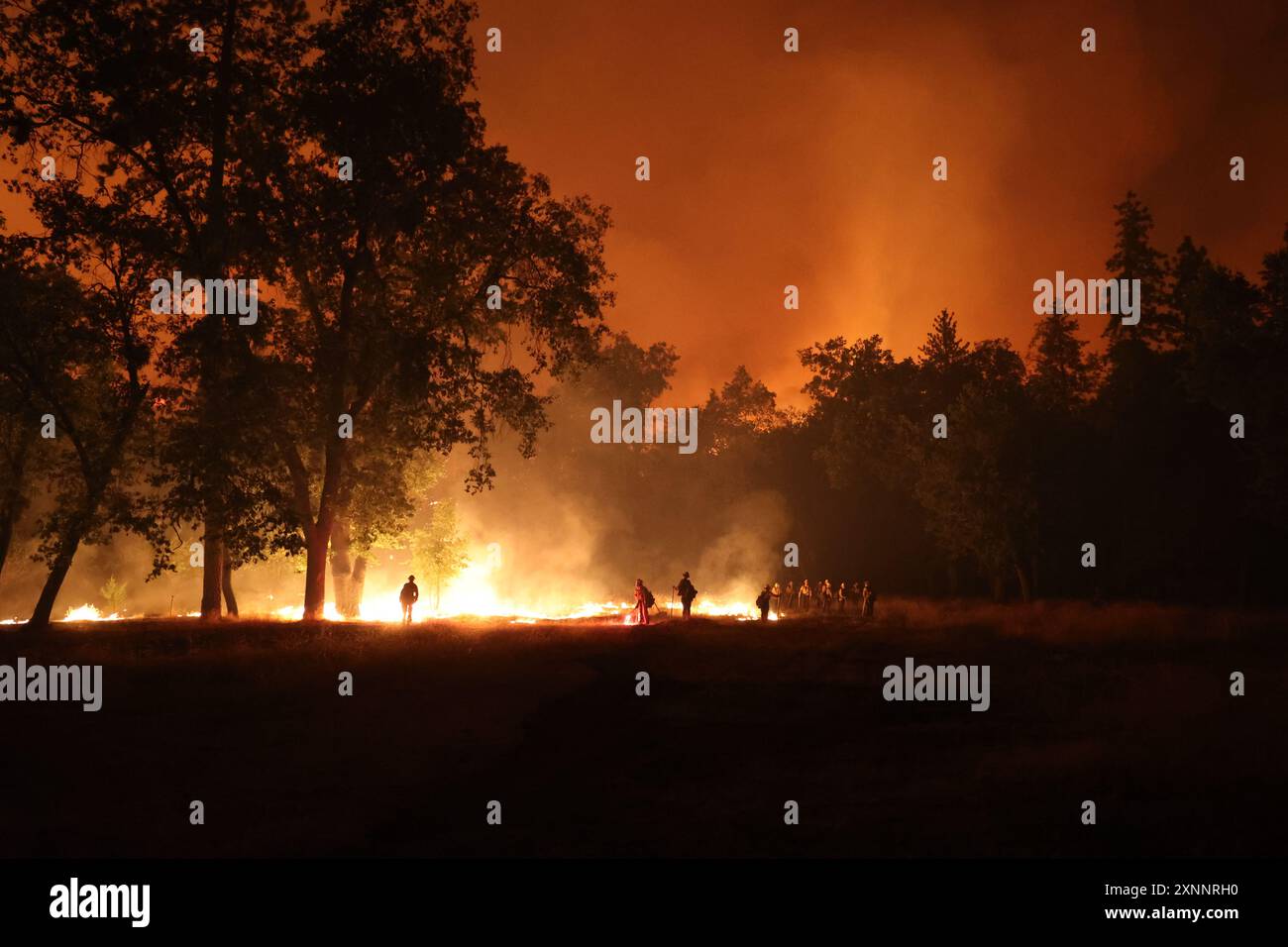 Chico, California, USA. August 1, 2024. Firefighters continue to battle ...