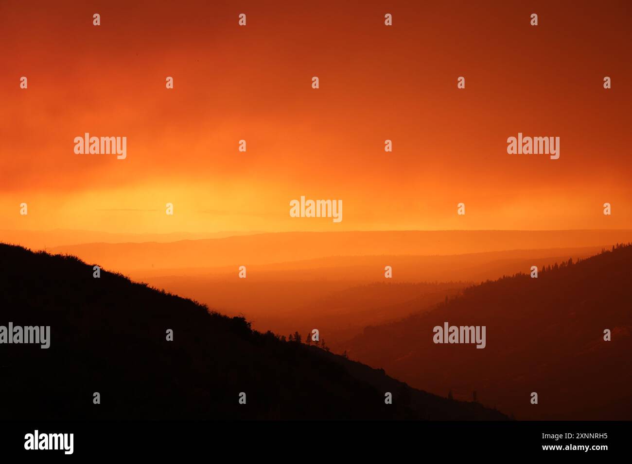 Chico, California, USA. August 1, 2024. Landscape showing scope of ...