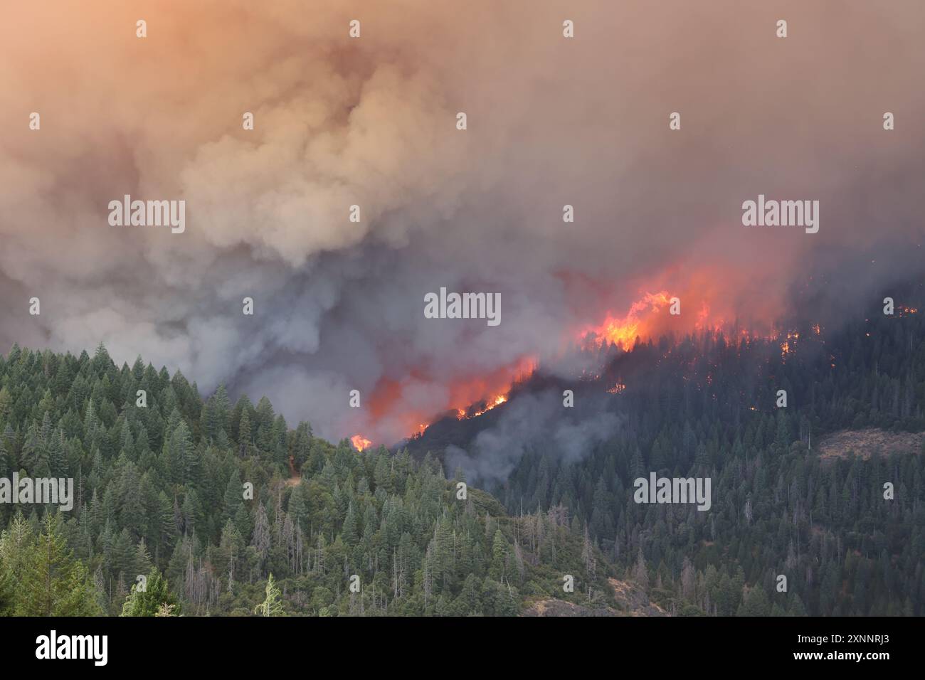 Chico, California, USA. August 1, 2024. Landscape showing scope of ...