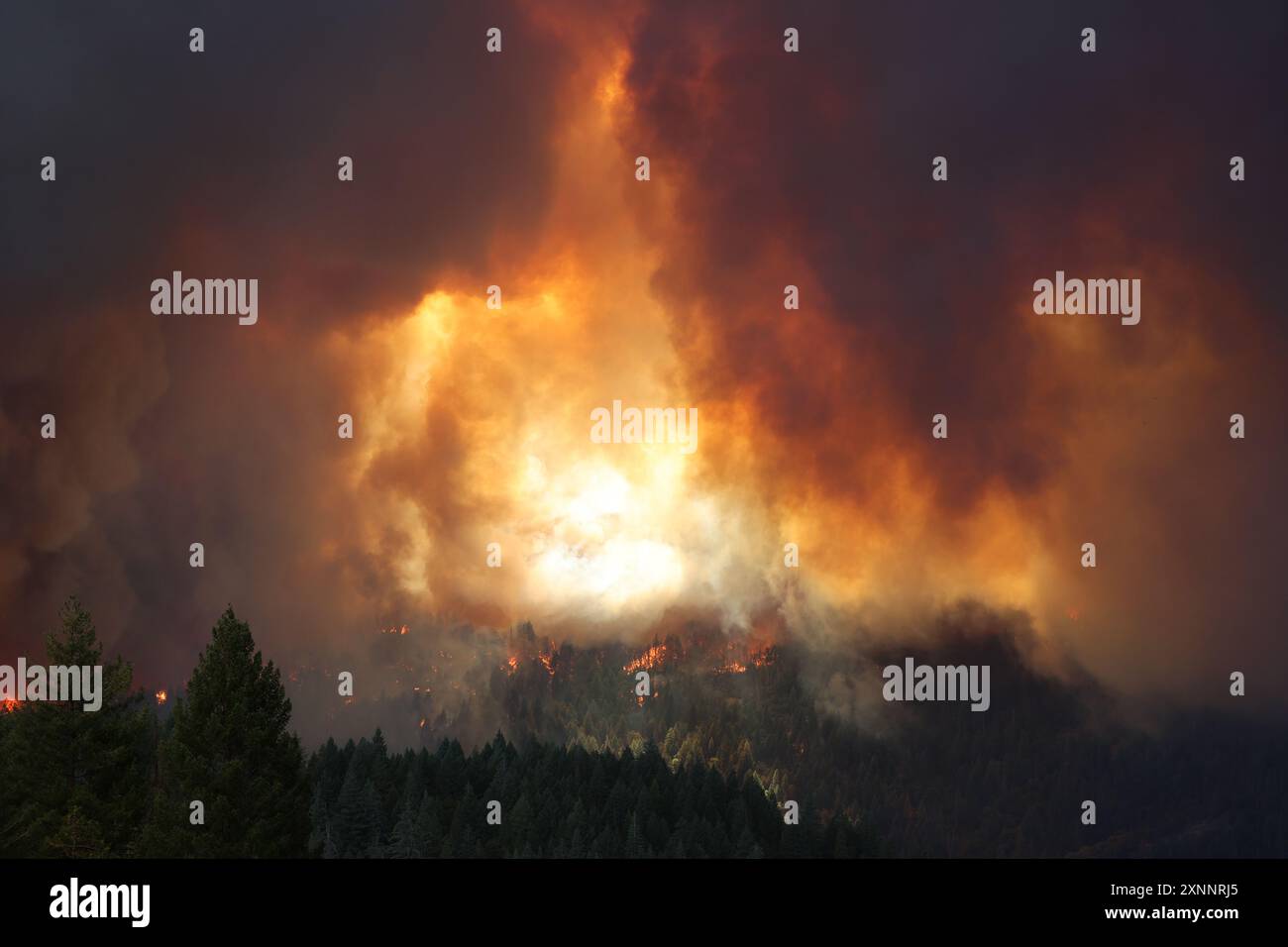 Chico, California, USA. August 1, 2024. Firefighters continue to battle ...