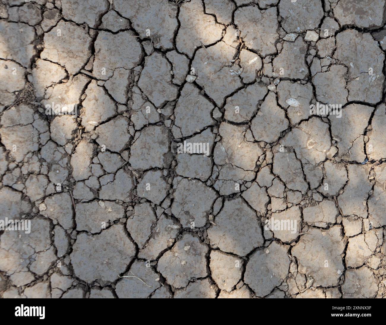 Cracked Dry Earth Texture in Sunlight Stock Photo - Alamy
