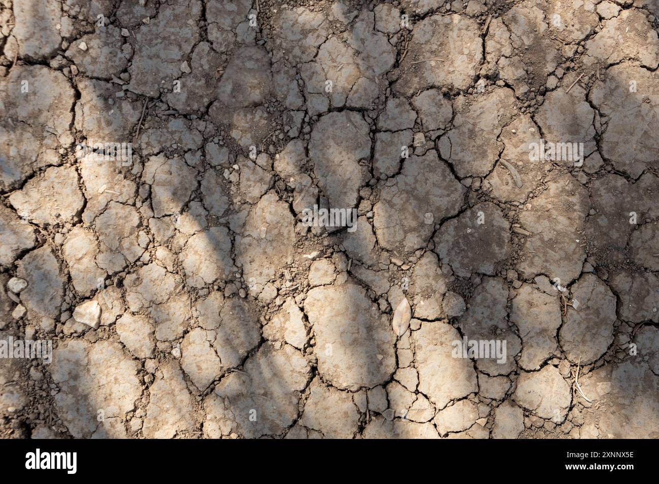 Sunlit Cracked Earth Texture, Climate Change Stock Photo - Alamy