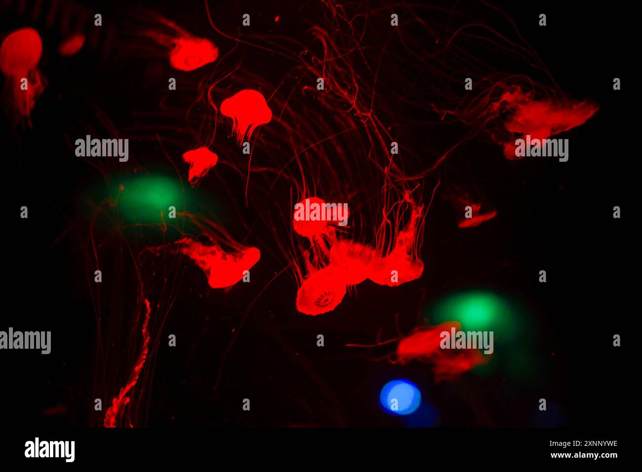 Estuarios sea hi-res stock photography and images - Alamy