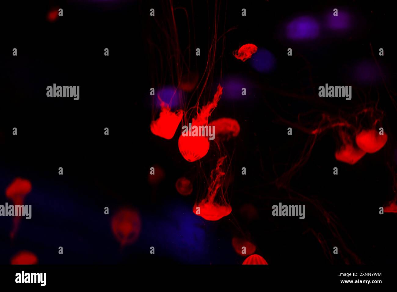 Estuarios sea hi-res stock photography and images - Alamy