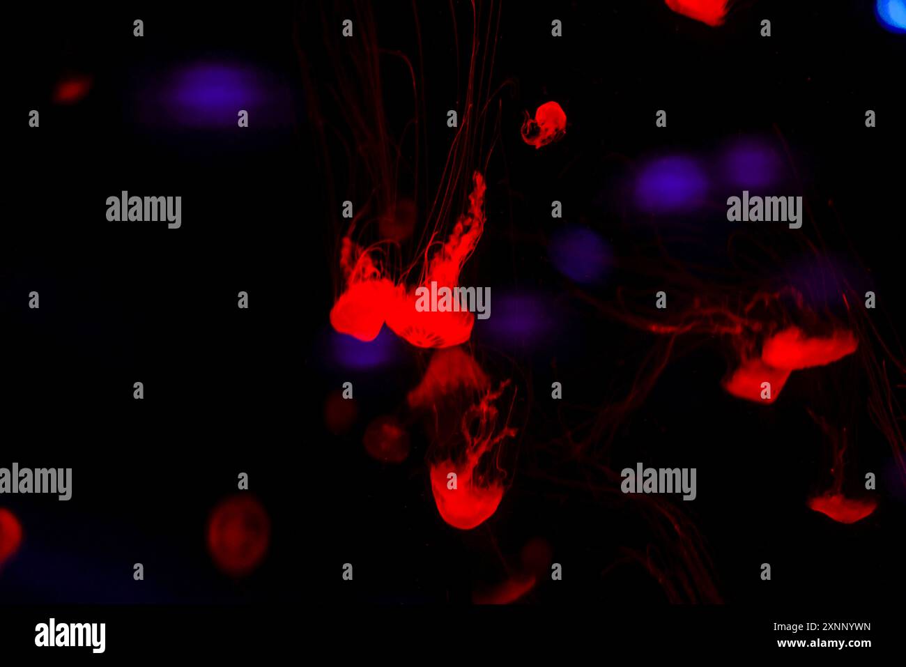 Los estuarios hi-res stock photography and images - Alamy