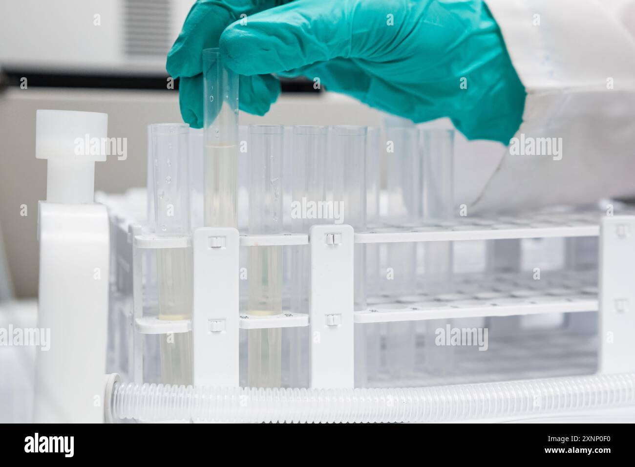 Close up of a woman inserting tubes into a fraction collector connected ...