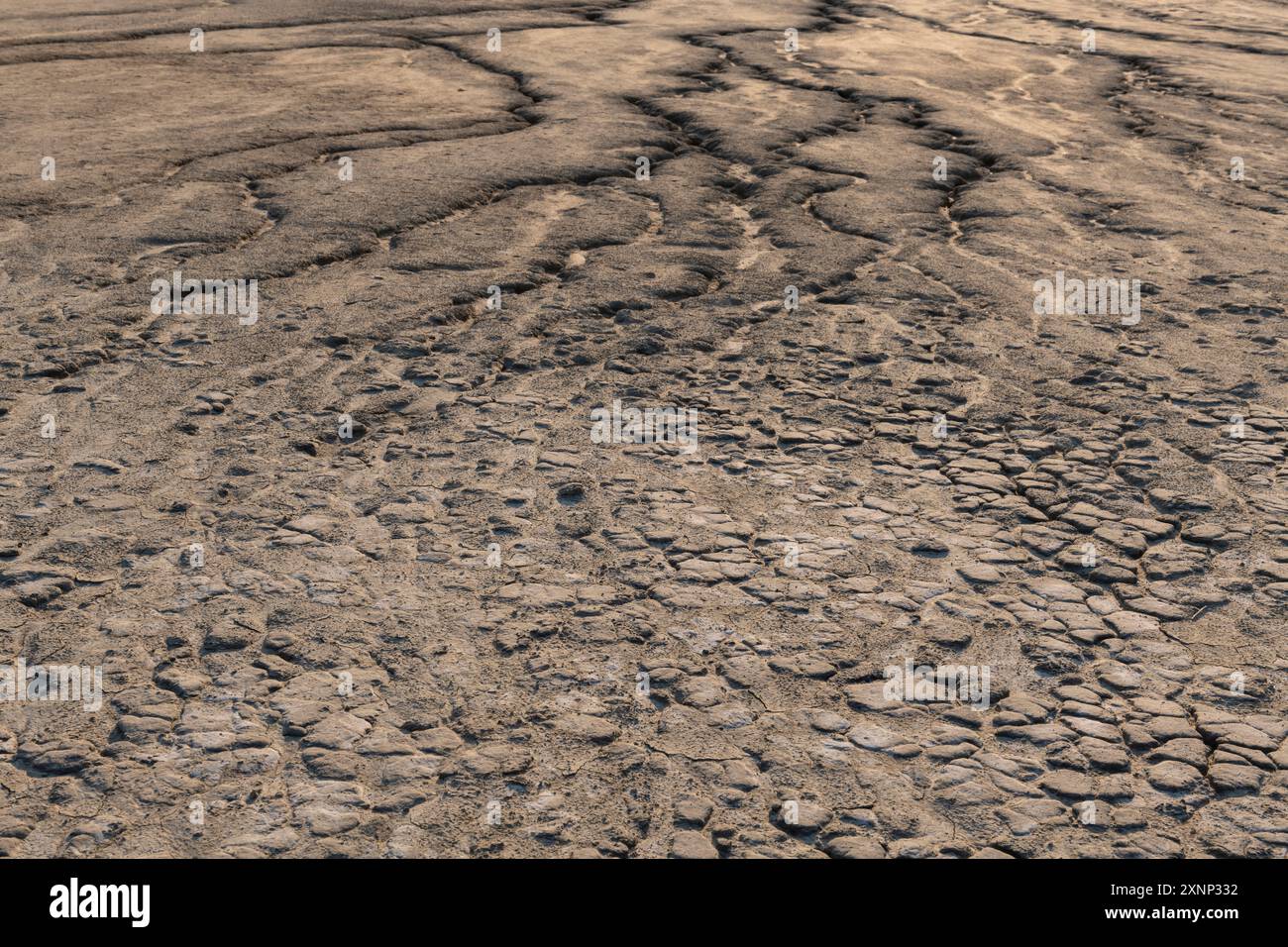 Mud rivers in Berca, Buzau, Romania. This is a unique geological ...
