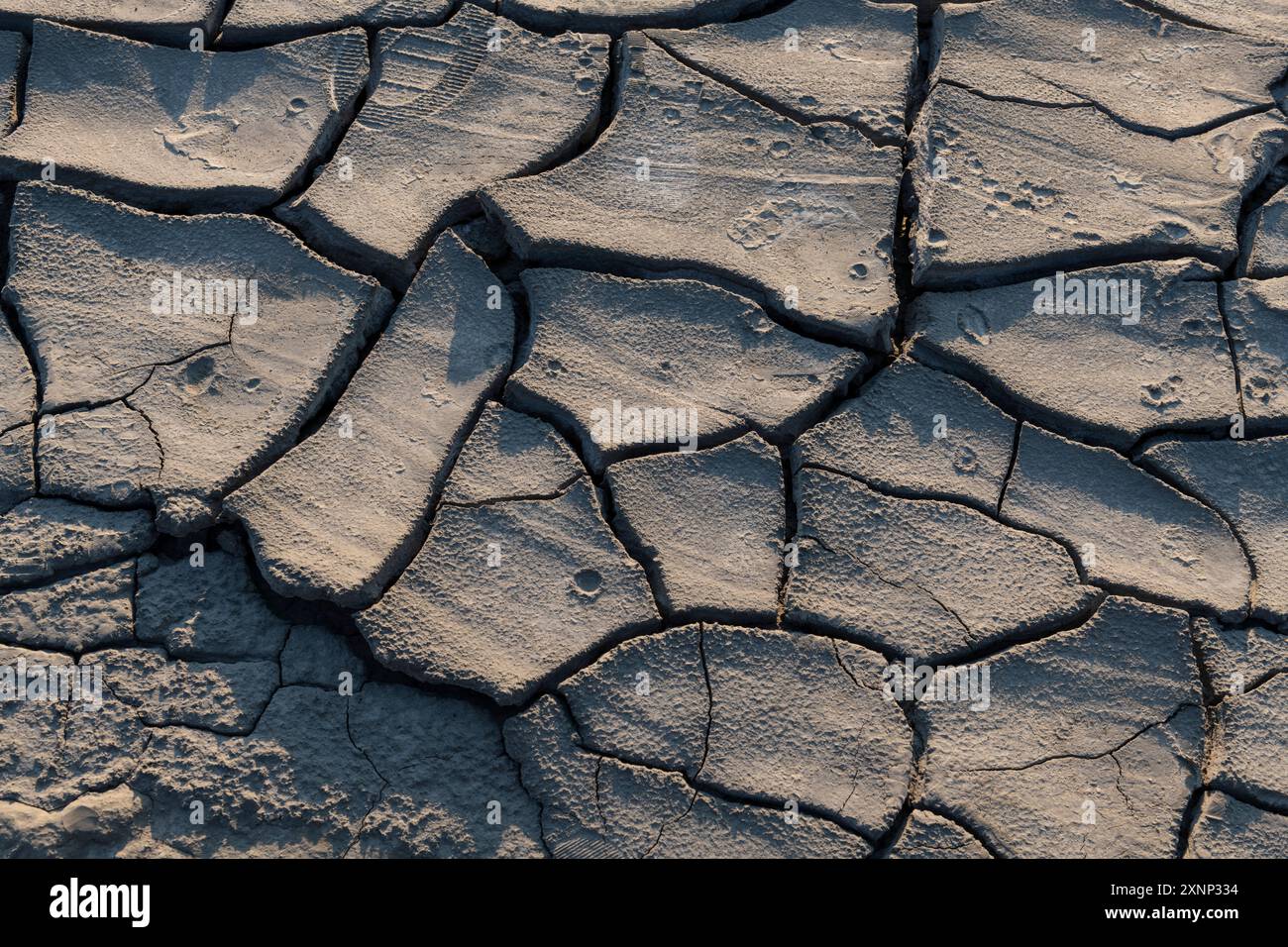 Dried mud texture. Dried mud waves from the mud volcanos site in Berca ...