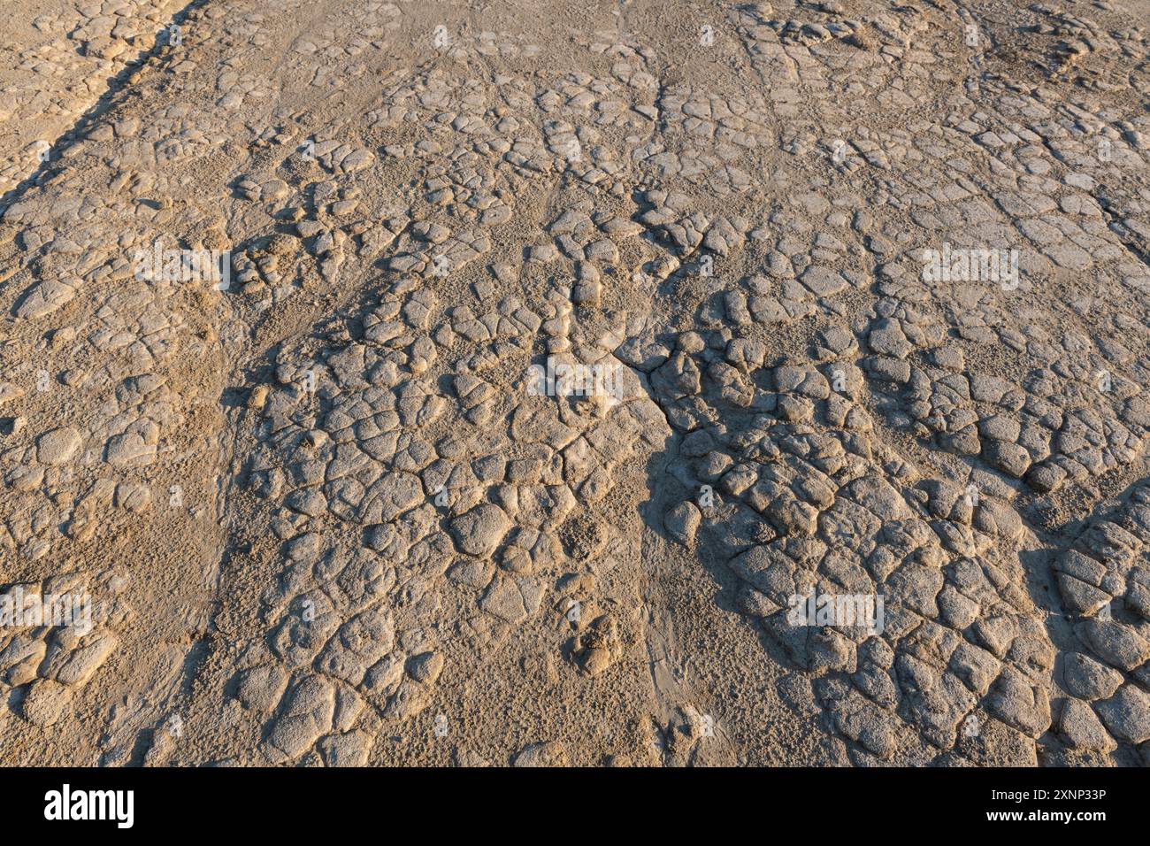 Dried mud texture. Dried mud waves from the mud volcanos site in Berca ...