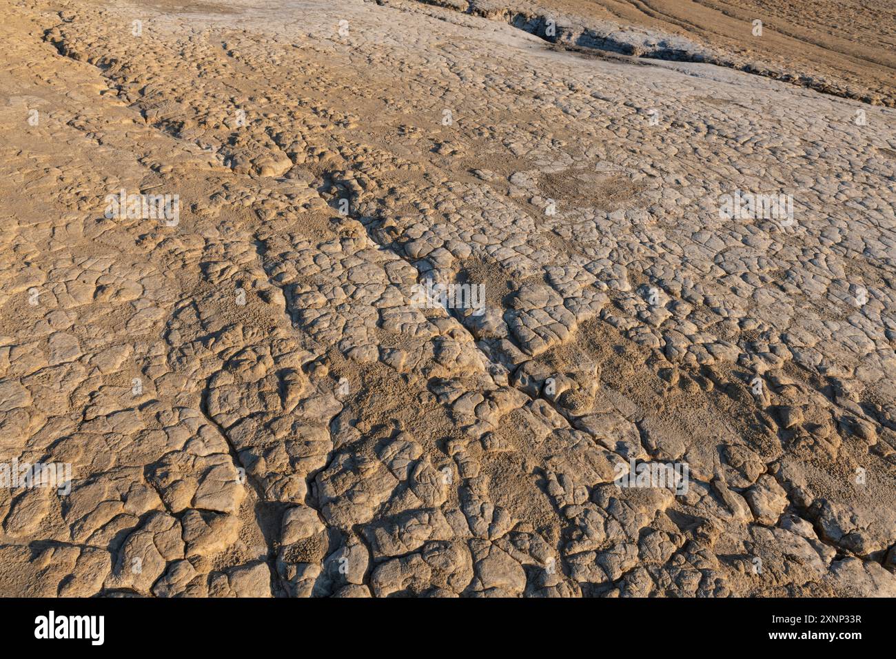 Dried mud texture. Dried mud waves from the mud volcanos site in Berca ...