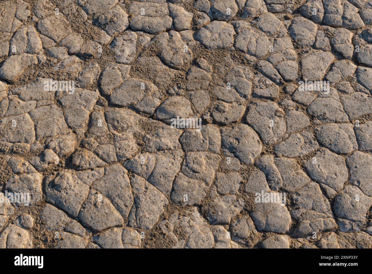 Dried mud texture. Dried mud waves from the mud volcanos site in Berca ...
