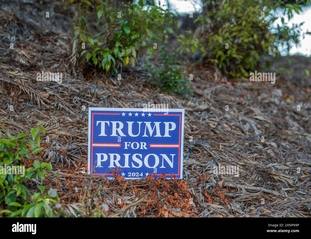 Santa Barbara, California, USA. 31st July, 2024. 'Trump for Prison 2024 ...