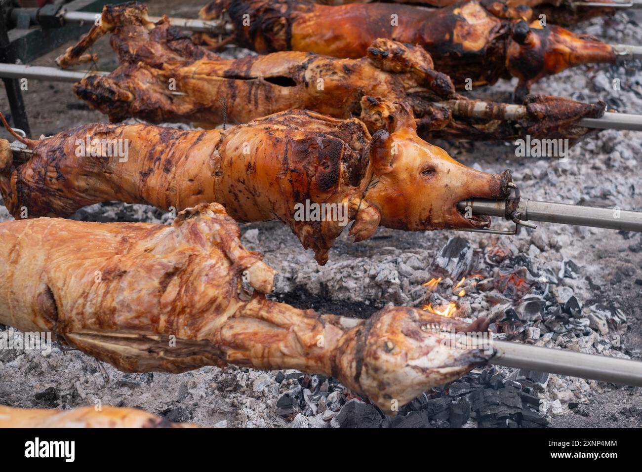 A pig grilled traditional coal and fire Stock Photo - Alamy