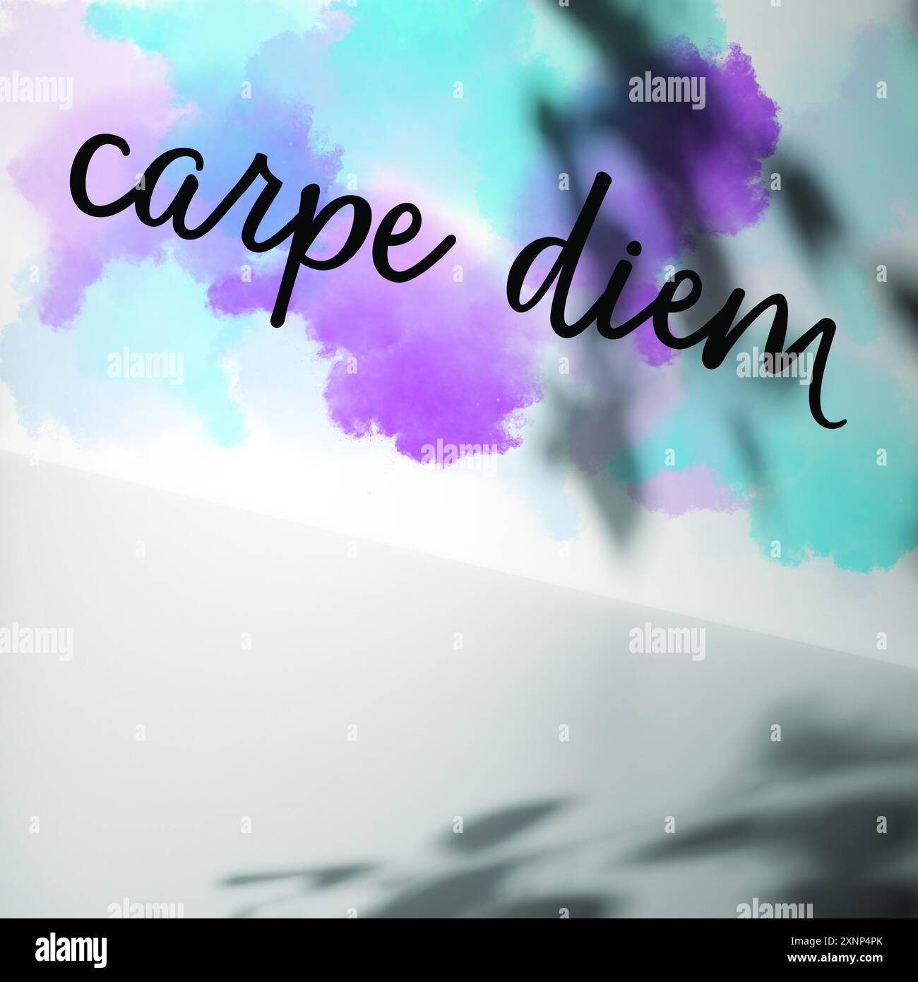 Motivation through the phrase "carpe diem" on a wall. Don't let time ...