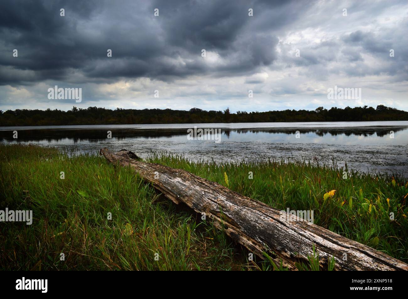 Red River in Shreveport, Louisiana Stock Photo - Alamy