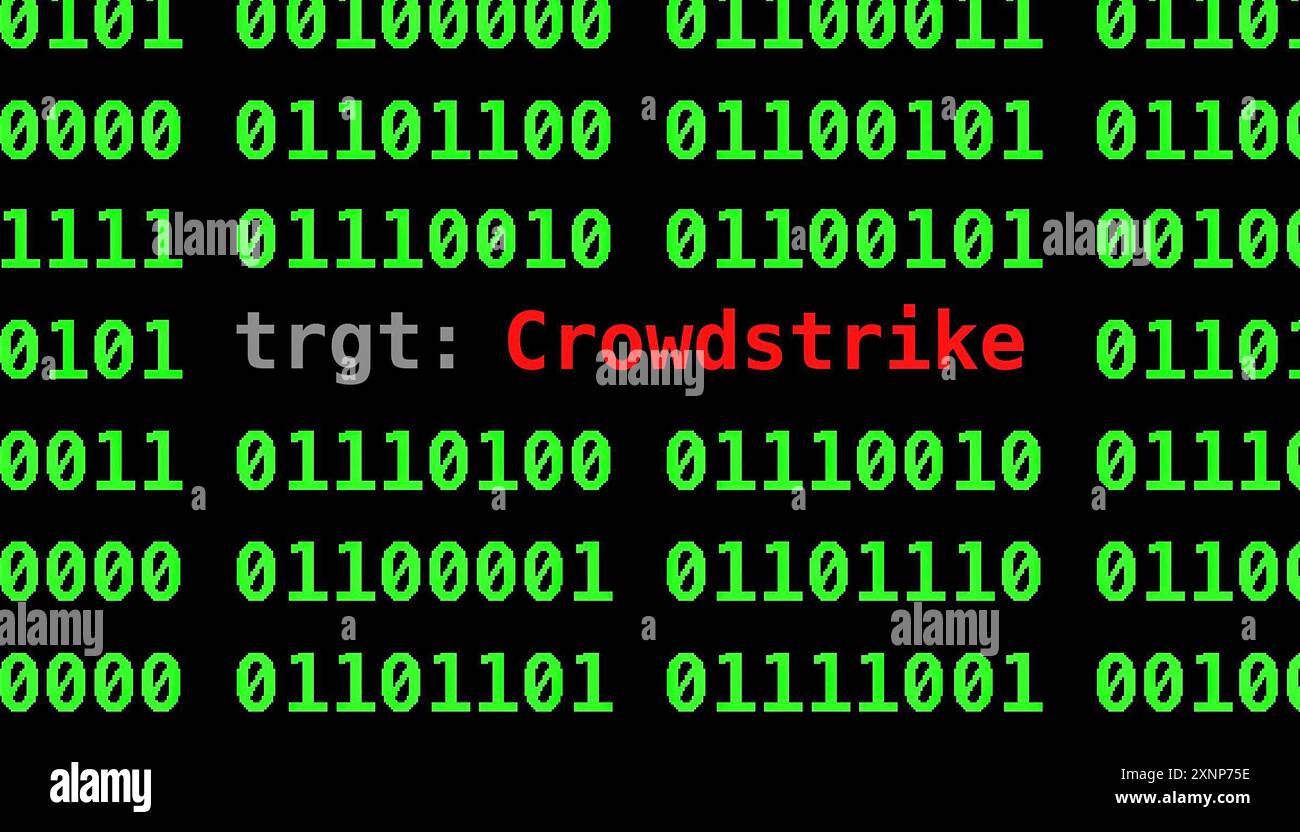 Internet, USA. 1st Aug, 2024. CrowdStrike is a leading cybersecurity ...