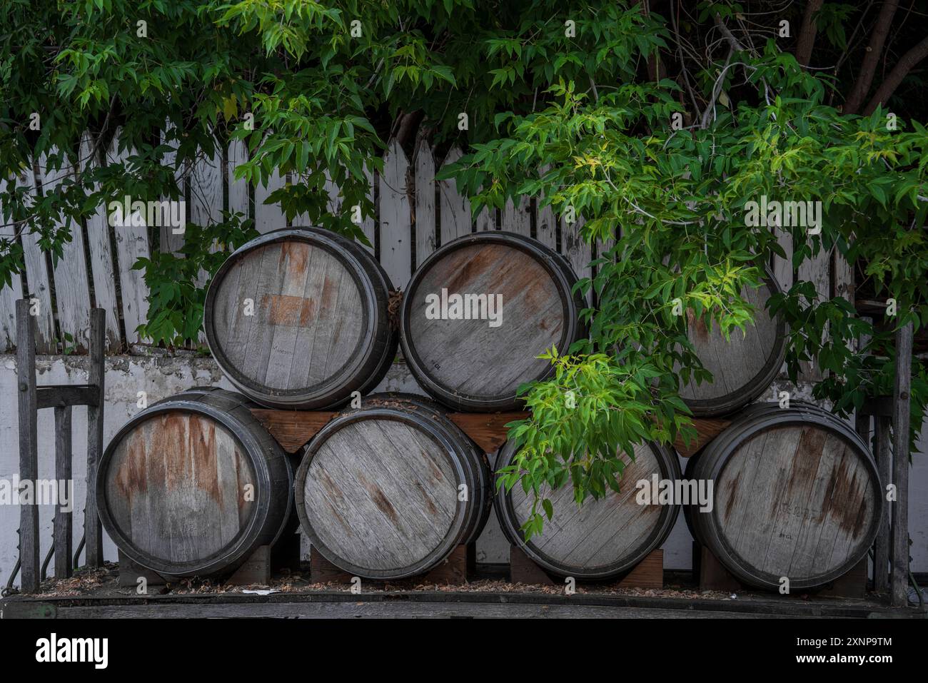 Stacked Wine barrels Stock Photo - Alamy