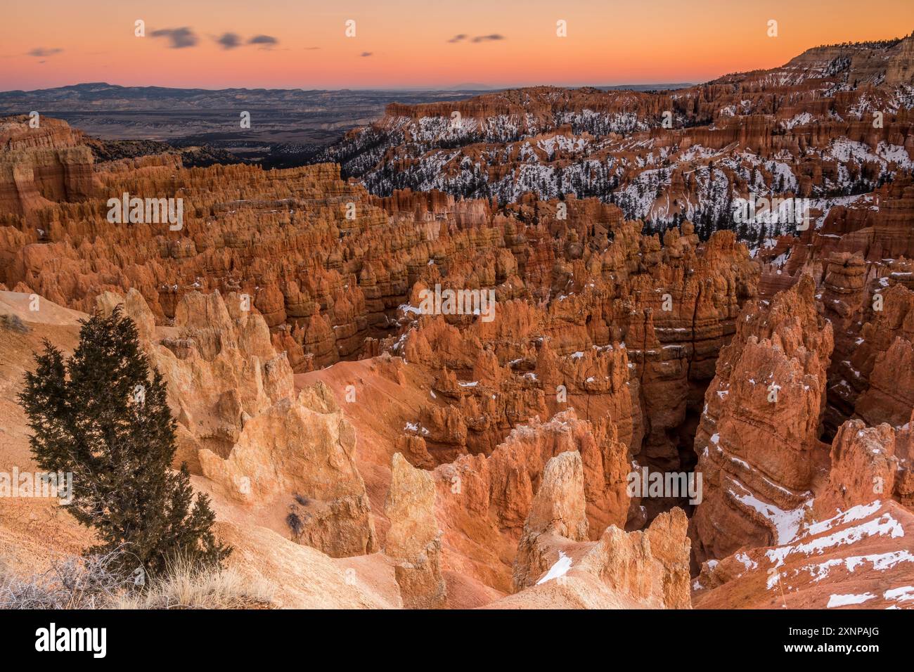 Amphitheater at Sunset Point, Bryce Canyon, National Park, Utah, North ...