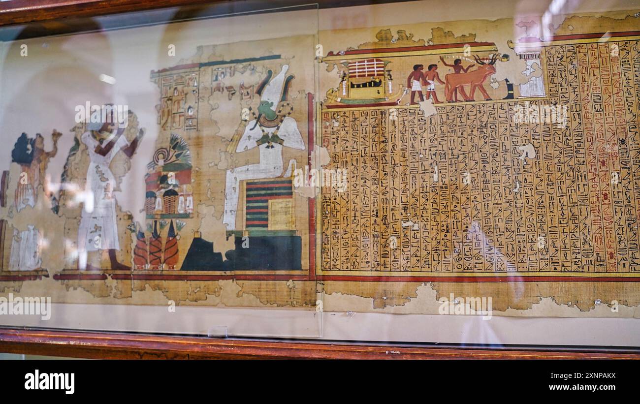 Cairo,Egypt,December 31,2019-Well preserved Papyrus measuring 19 meters ...