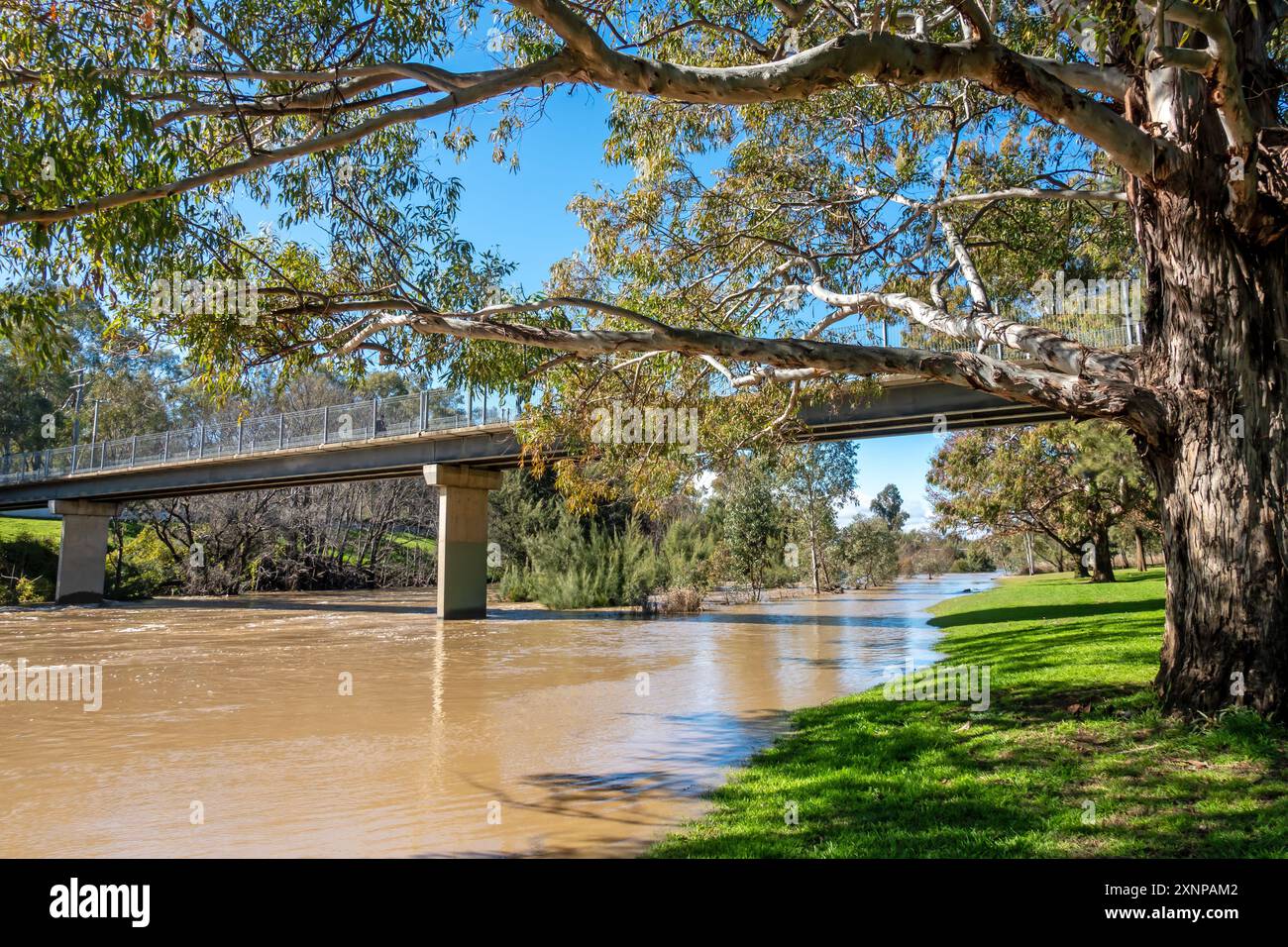 Pedestrian bridge to thhe CBD over the swollen muddy Peel River ...