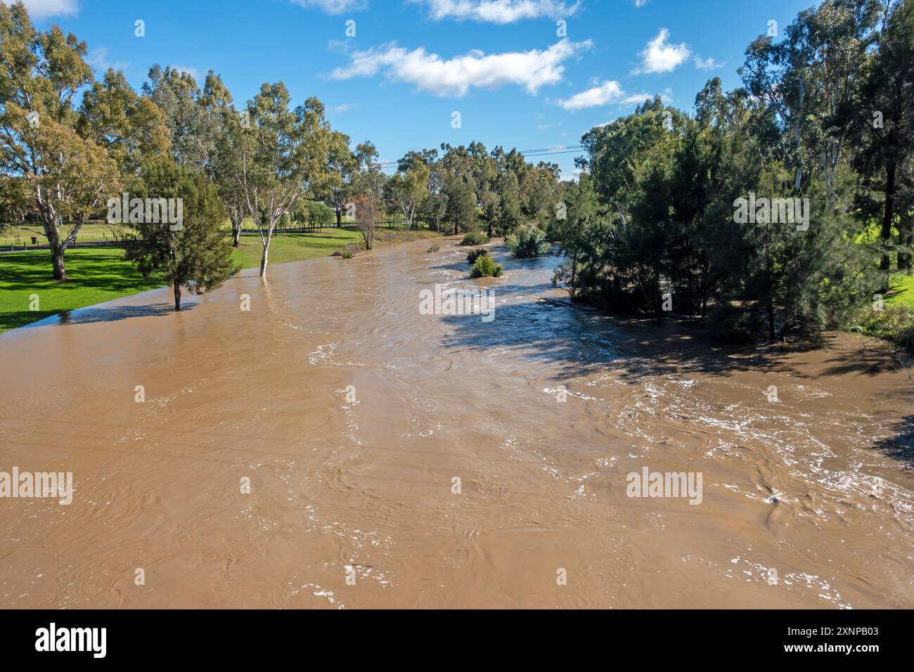 Peel River Tamworth Australia in muddy flood July 28th 2024 Stock Photo ...
