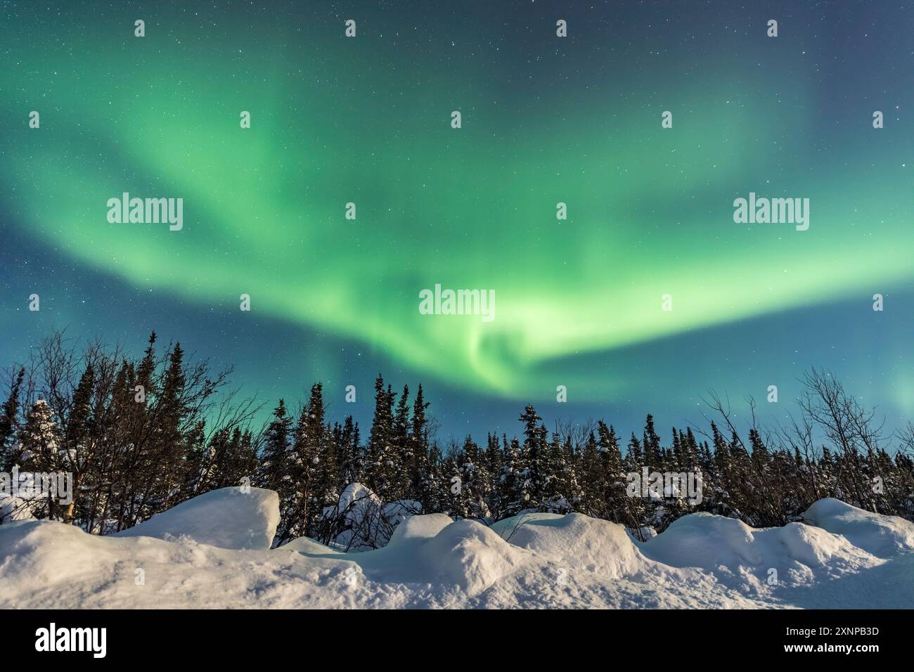 Aurora Borealis / Northern Lights, in deep snow, Fairbanks, Alaska ...