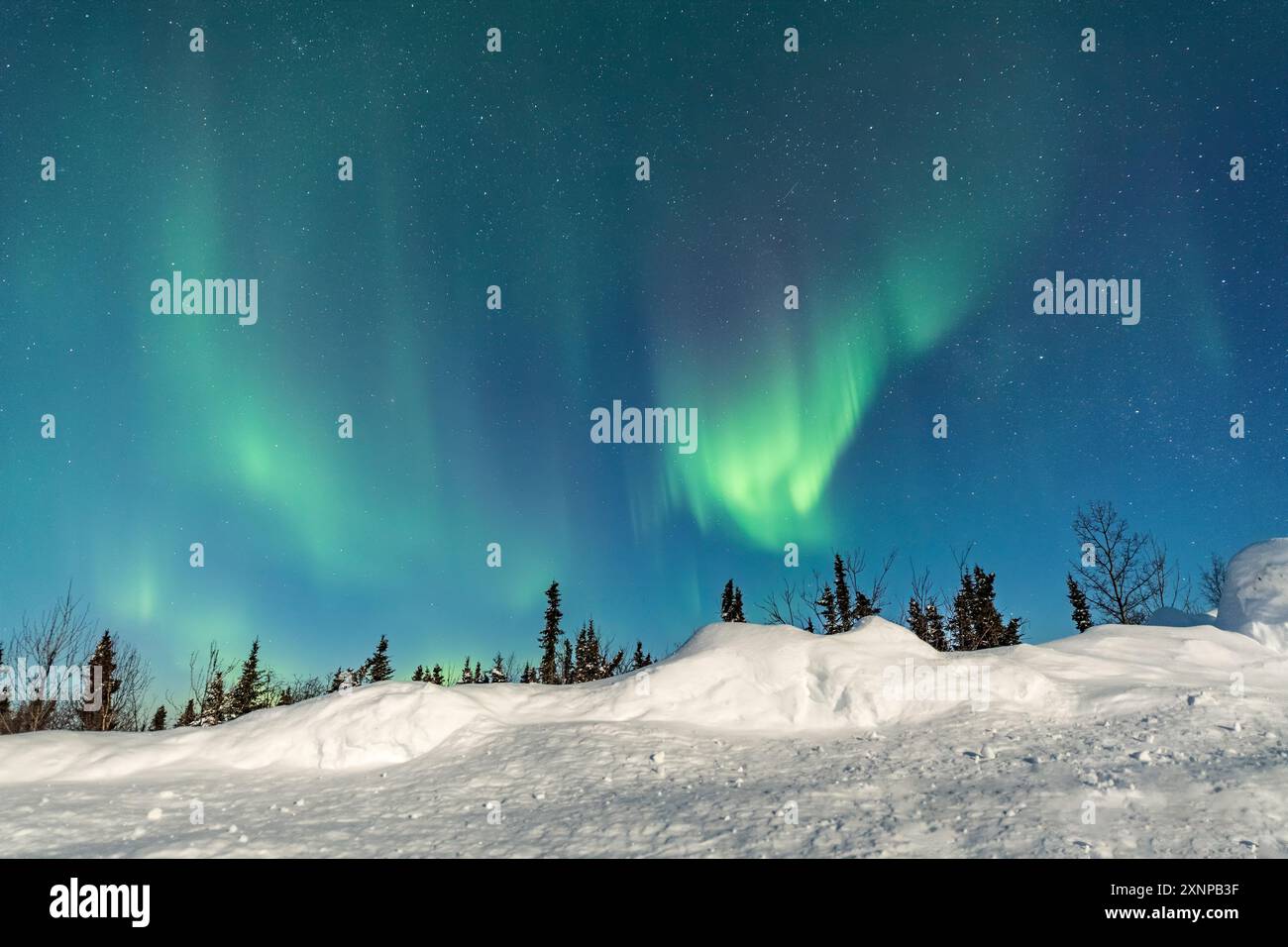 Aurora Borealis / Northern Lights, in deep snow, Fairbanks, Alaska ...