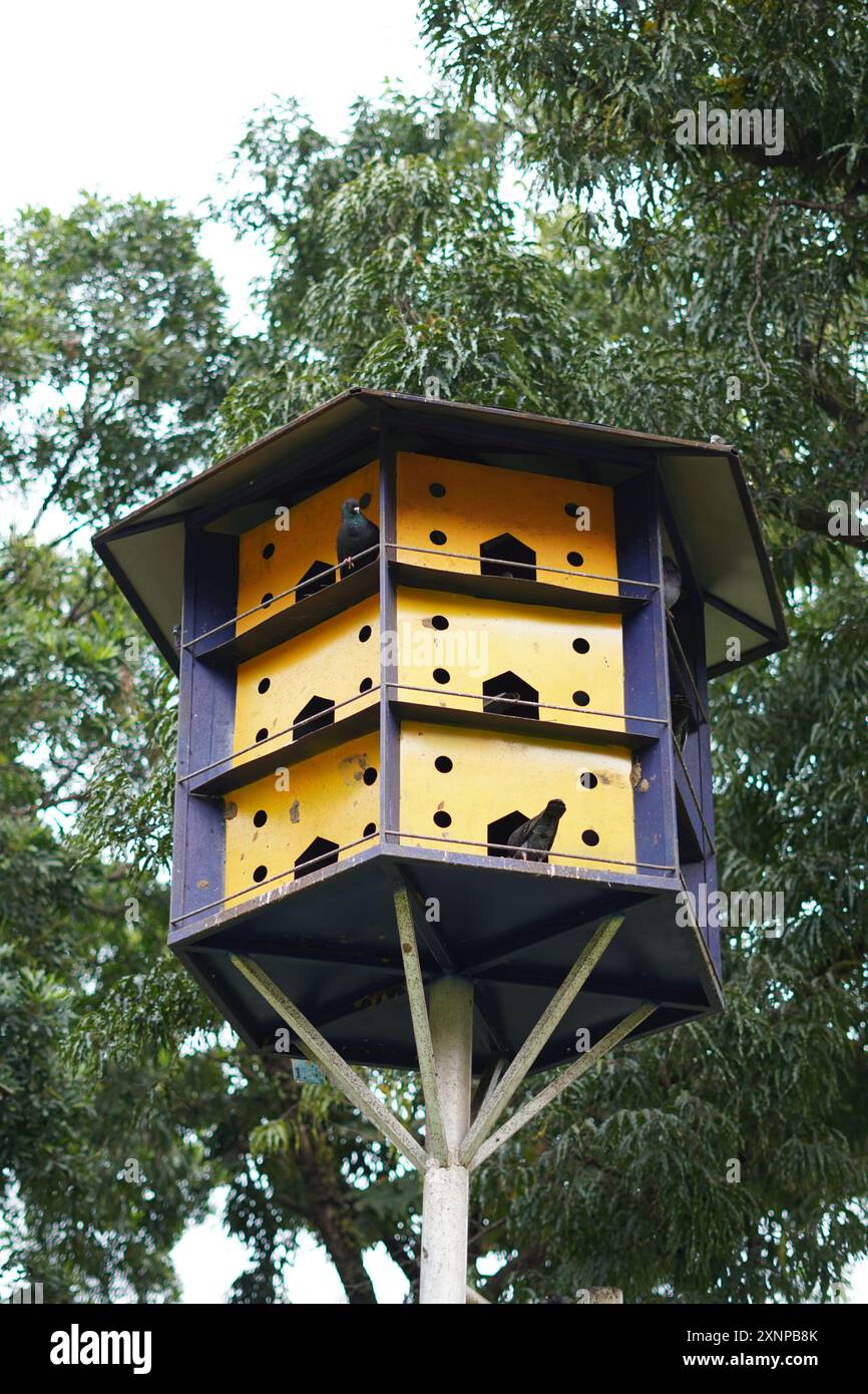 A bird house used by doves to live in an open public space in the ...