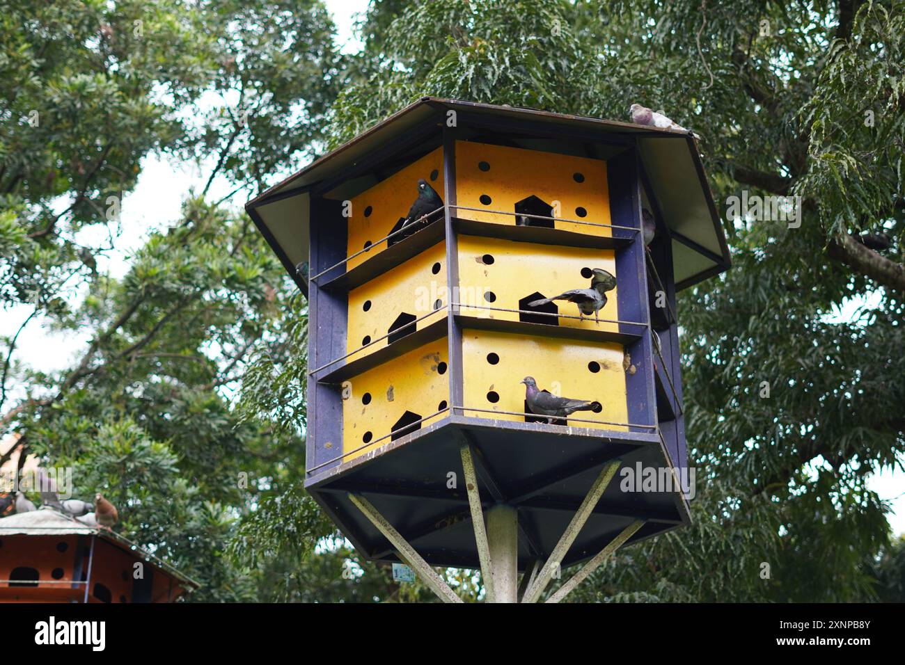 A bird house used by doves to live in an open public space in the ...
