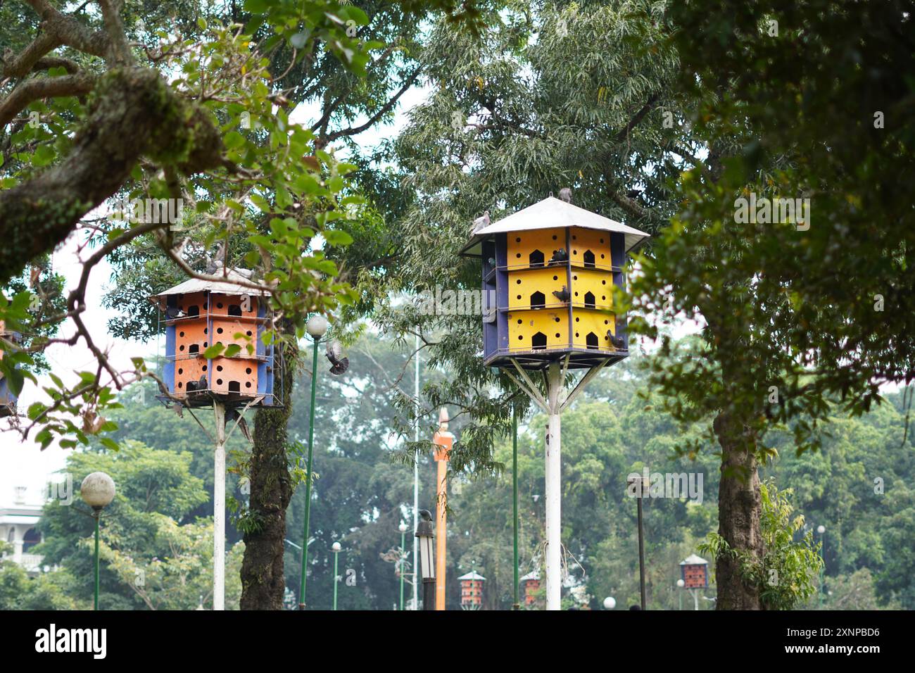 House of the doves hi-res stock photography and images - Alamy