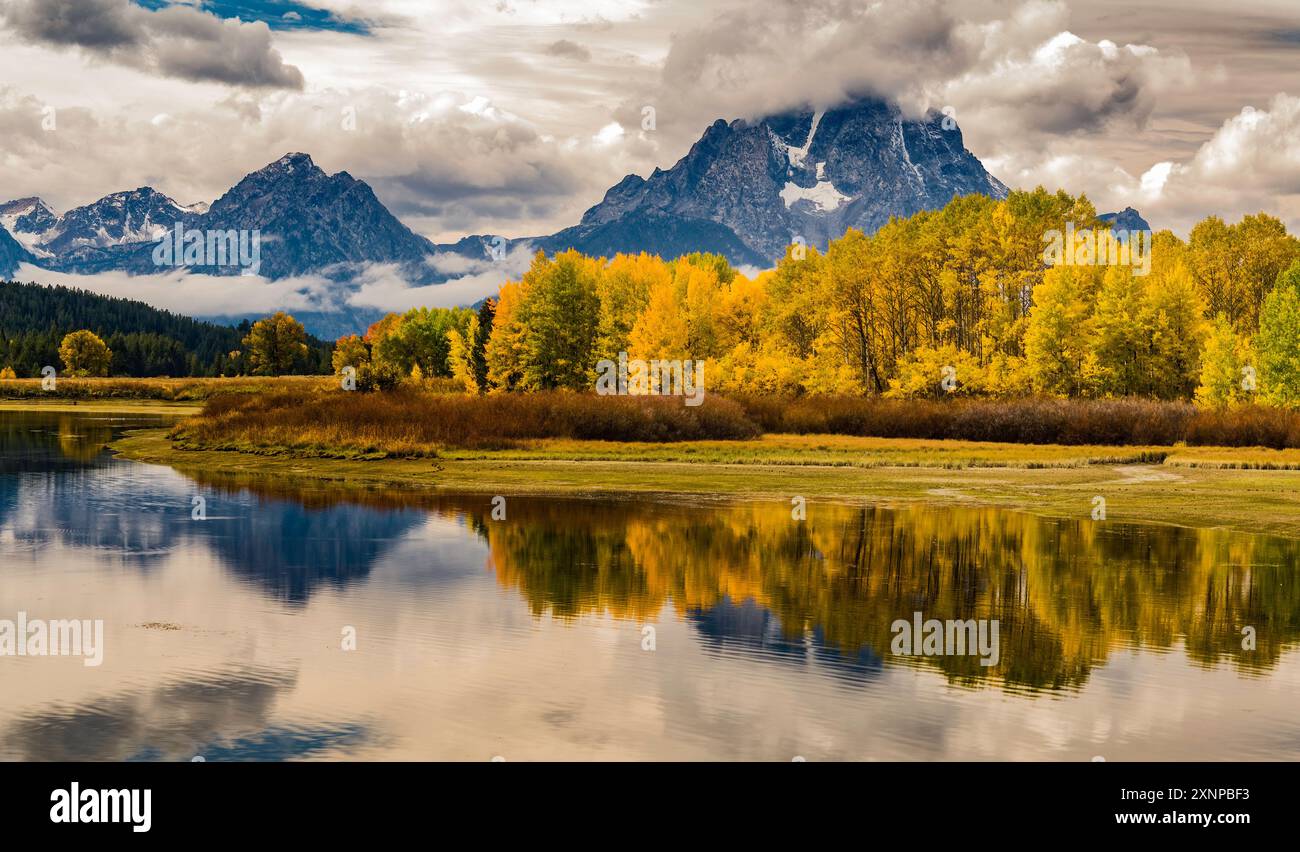 Dynamic color palette of orange hi-res stock photography and images - Alamy