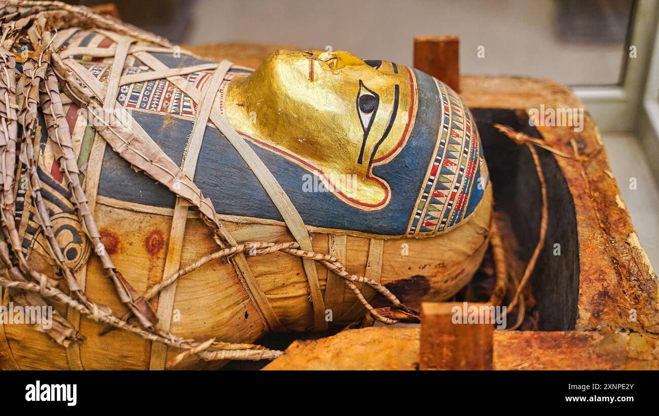 Cairo,Egypt,December 31,2019-Ptolemaic era mummy with gilded mask ...