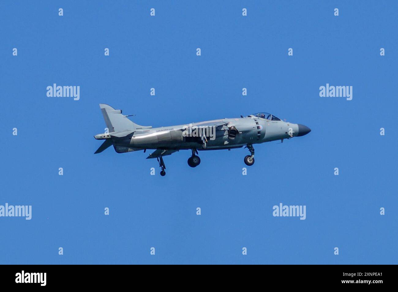 Harrier jet im flug hi-res stock photography and images - Alamy