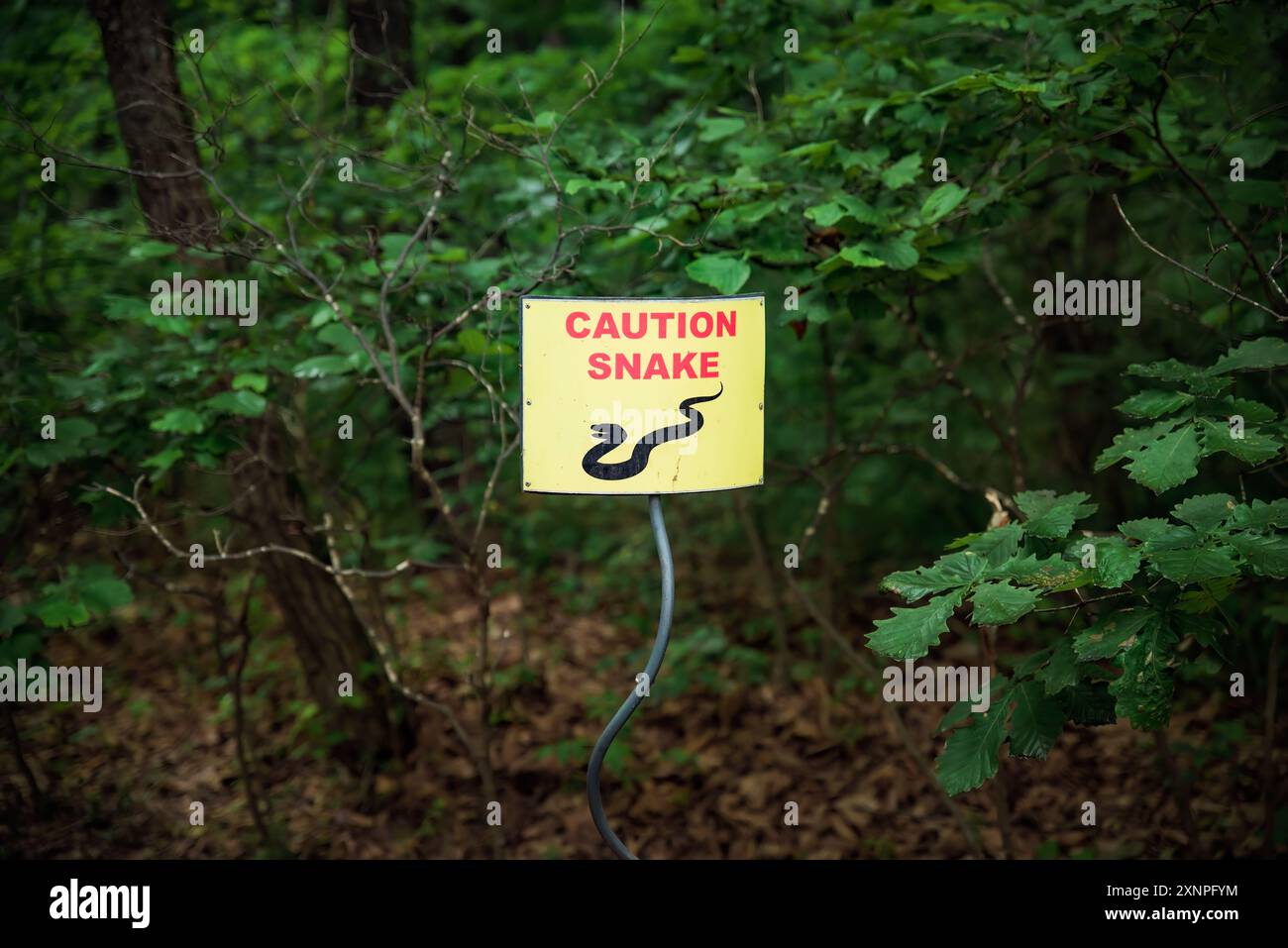 Sign caution snake in the forest Stock Photo - Alamy