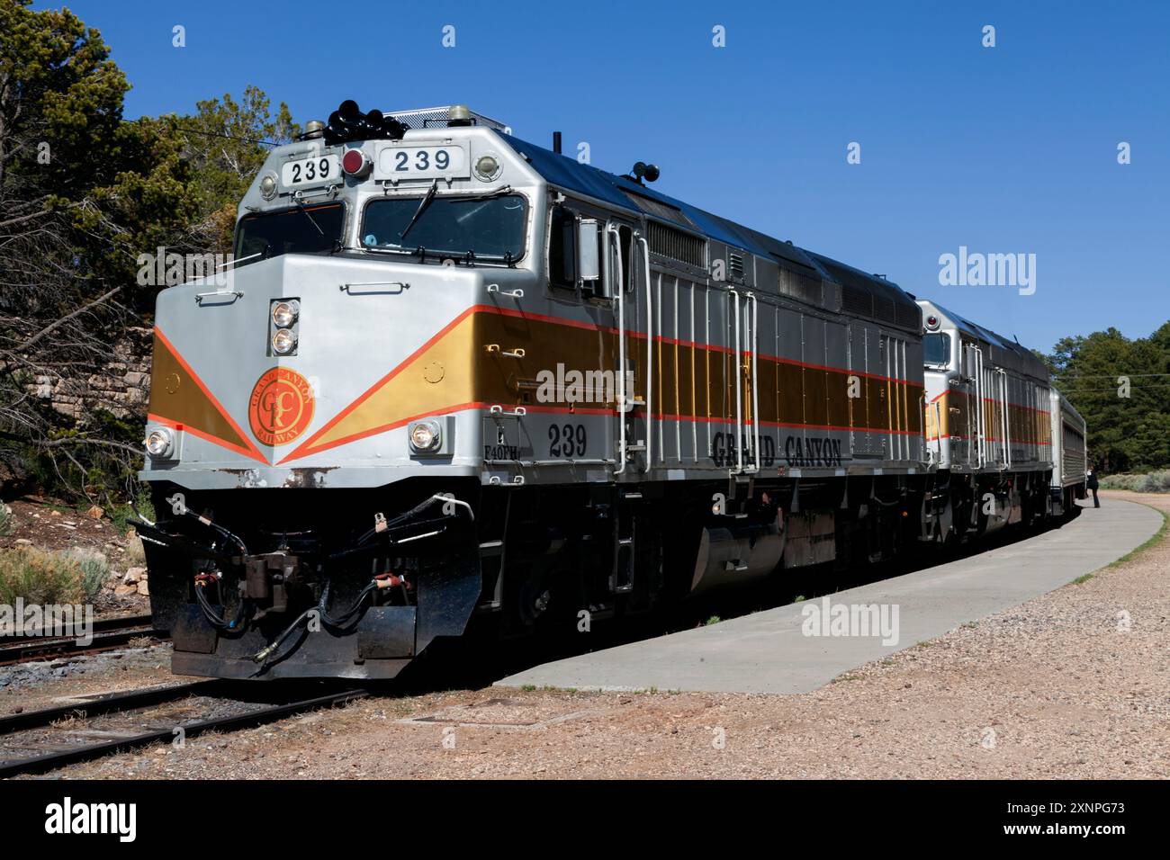 The Grand Canyon Railway's locomotive 239, an EMD F40PHR built ...