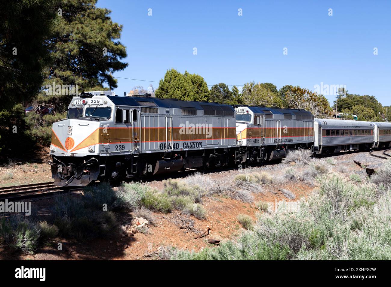 The Grand Canyon Railway, led by locomotive 239 (an EMD F40PHR built ...