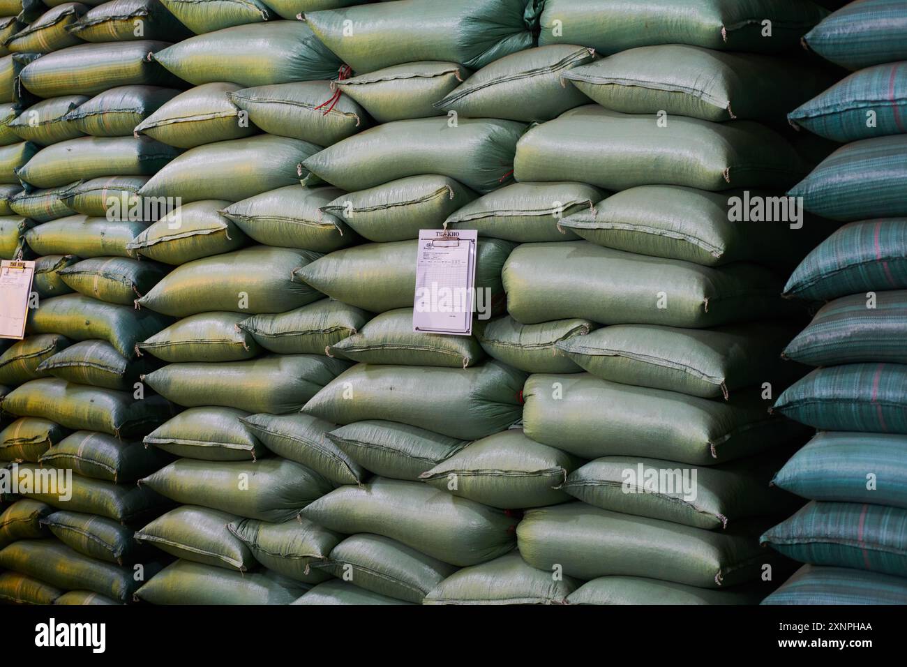Bags of coffee beans stacked in a factory in Vietnam Stock Photo - Alamy