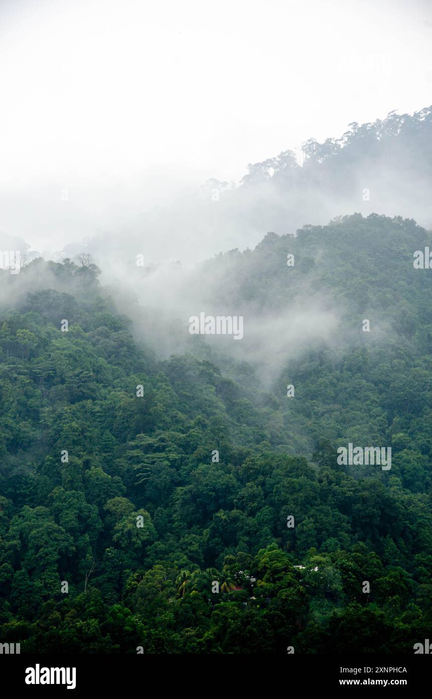 Clouds rolling over a forested hillside in Penang, Malaysia Stock Photo ...