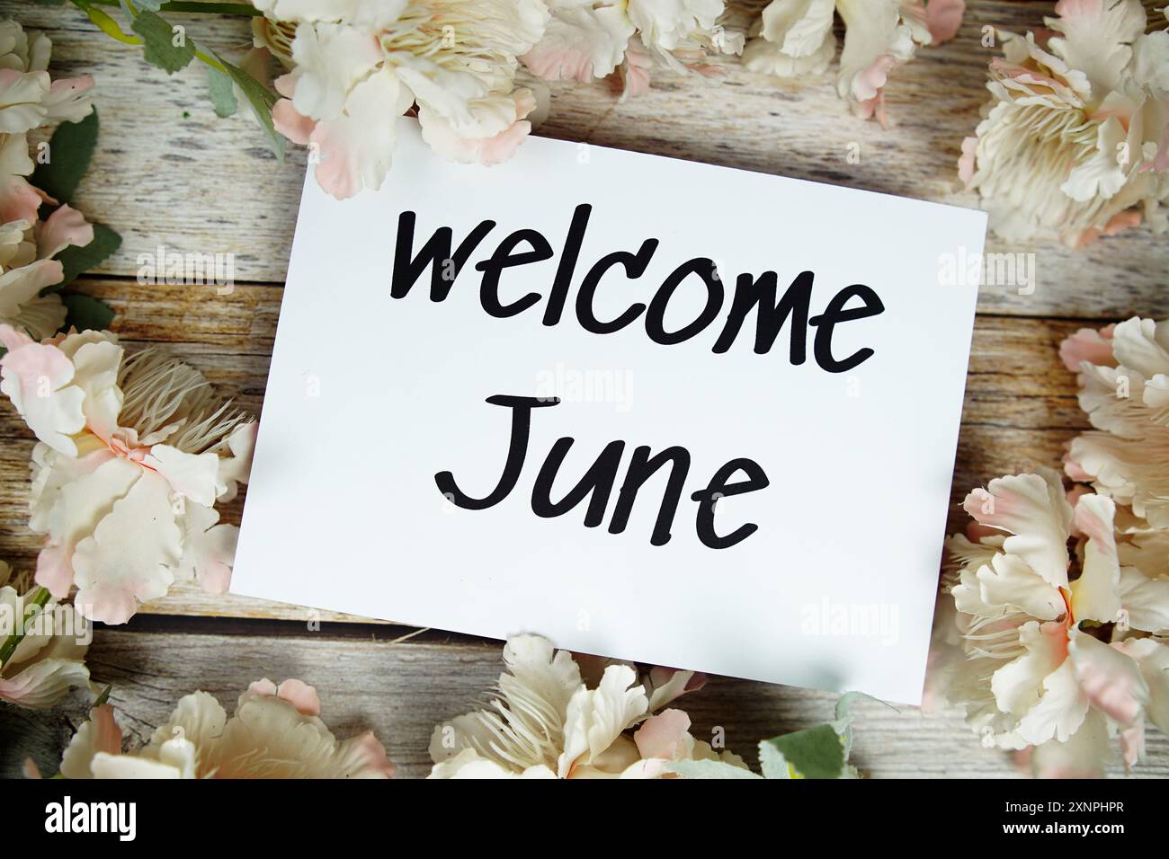 Welcome June text on paper card with flowers frame top view on wooden ...