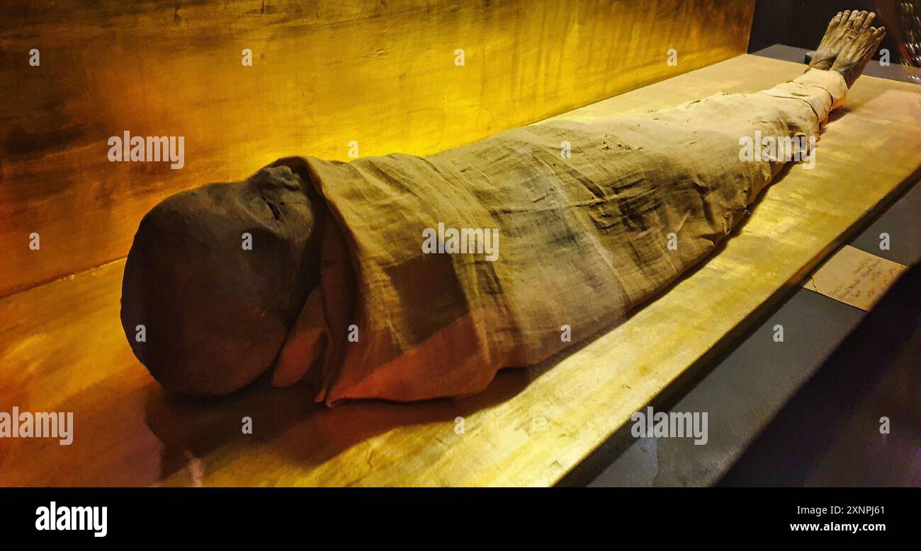Cairo,Egypt,January 5,2020-Mummy of Pharaoh Merenre I from the 6th ...
