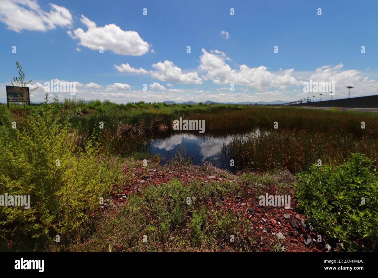 General view of Texcoco Lake. The Lake Texcoco Ecological Park project ...