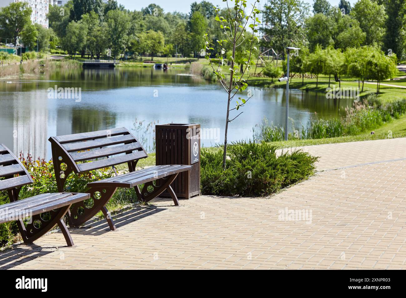 Rest area with bench surrounded by blooming trees and ornamental shrubs ...