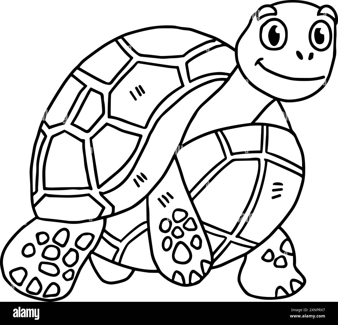 A cute turtle with a smile on its face. The turtle is standing up and ...