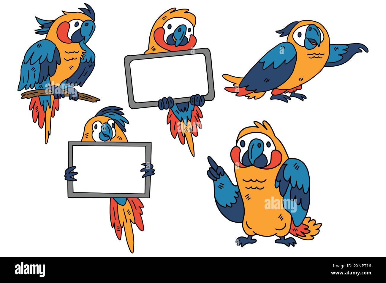 A set of four drawings of parrots holding a sign. The parrots are all ...